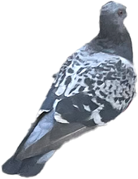 harmonic collection entry 5